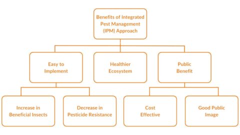 Benefits of Integrated Pest Management IPM Approach - INNOVATIVE PEST ...