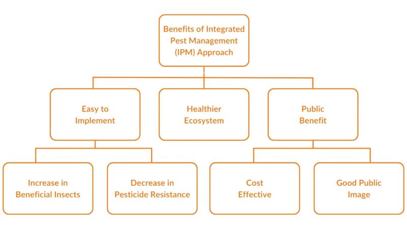 Benefits of Integrated Pest Management IPM Approach - Innovative Pest ...