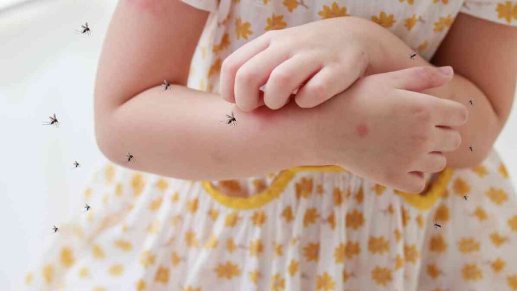 Pre Move Checklist for Moving into Your New Home – Mosquito Infestation ...